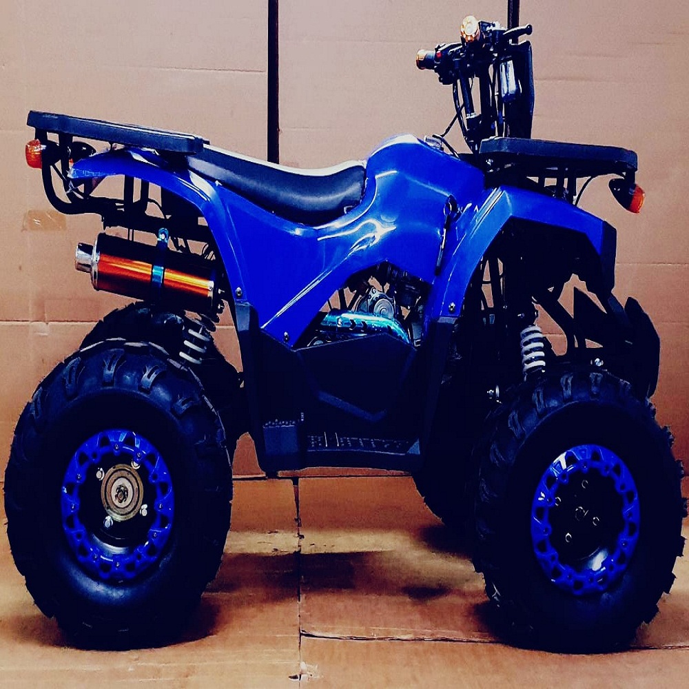 Falcon plus 125cc (BLUE) - ATV Bike