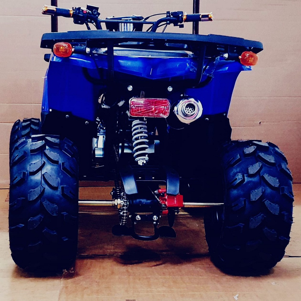 Falcon plus 125cc (BLUE) - ATV Bike