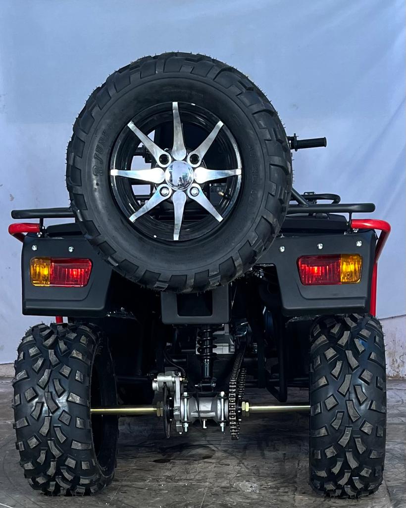 Super Hunk Atv 250cc (Black) - ATV Bike